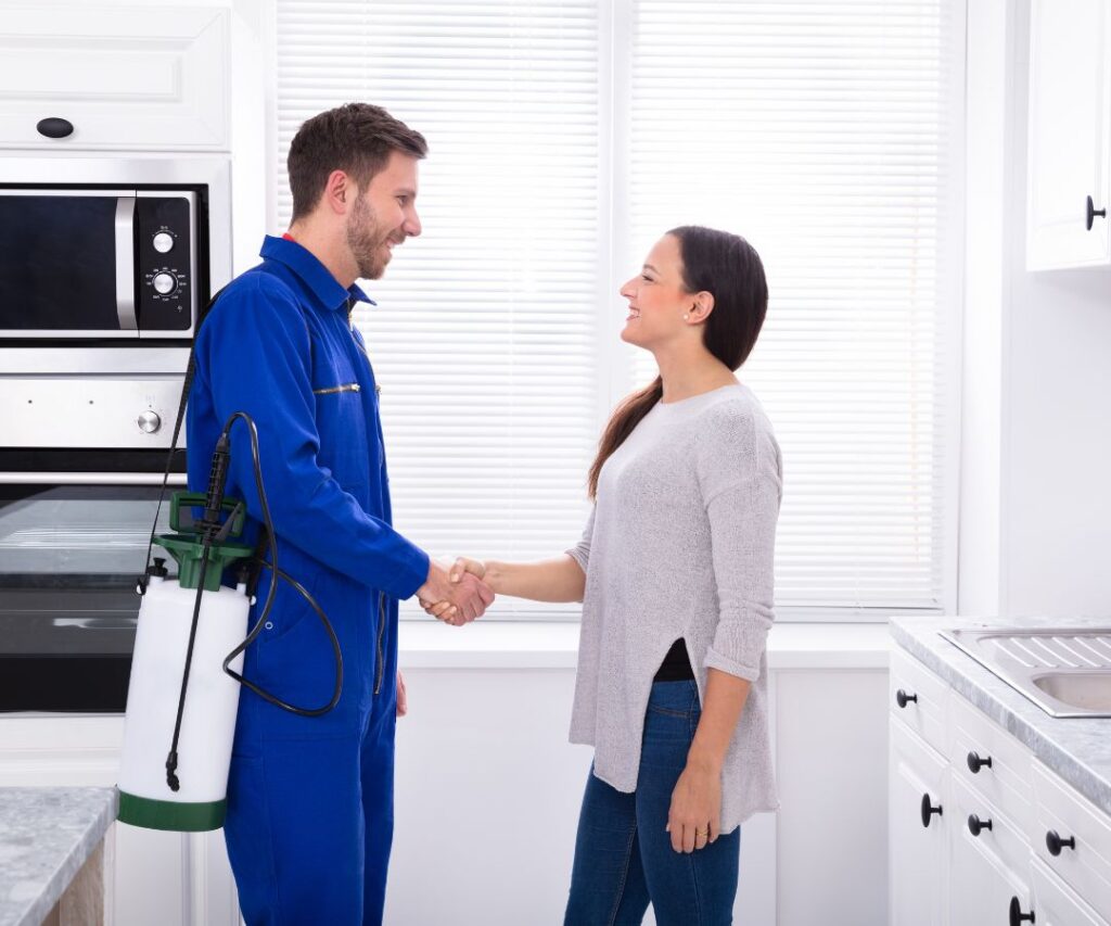 Expert Pest Control in San Diego County - Contact Us Today